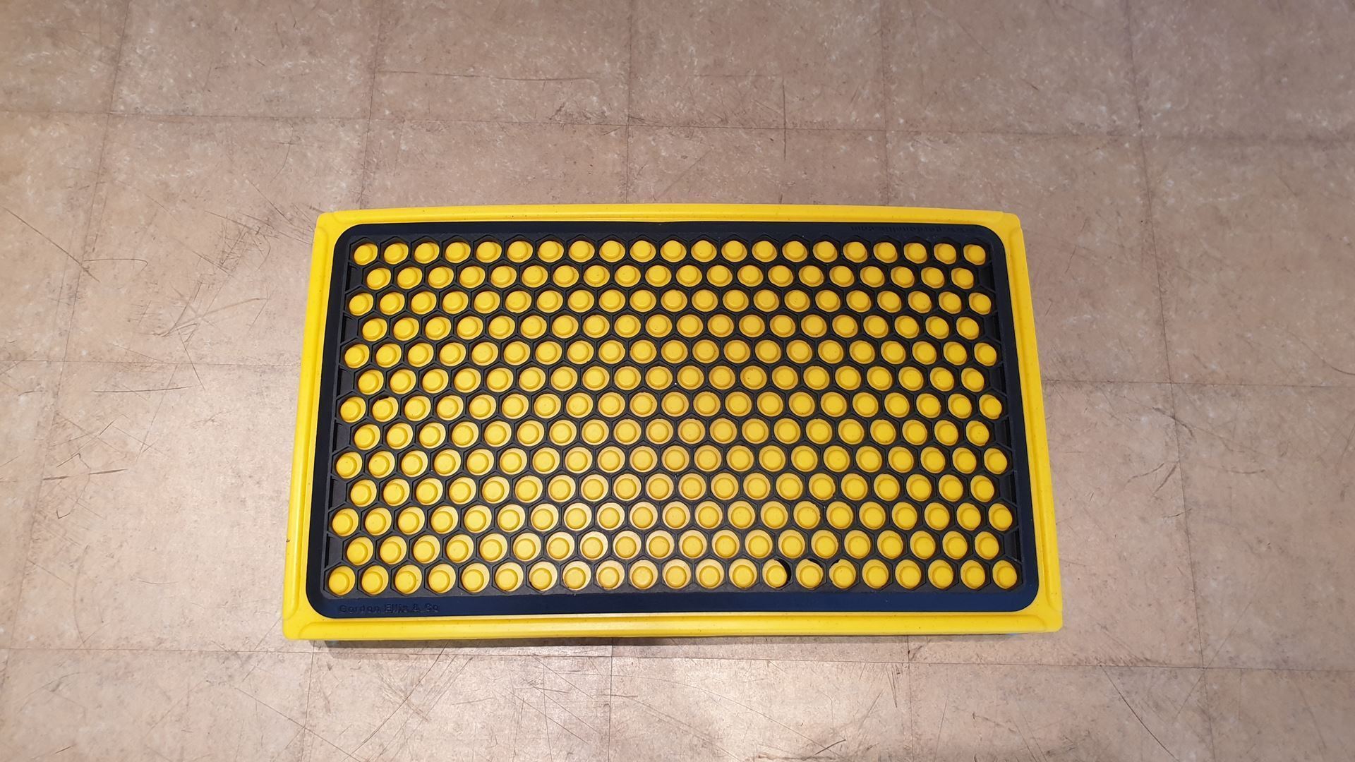 Derby Half Step | Gordon Ellis